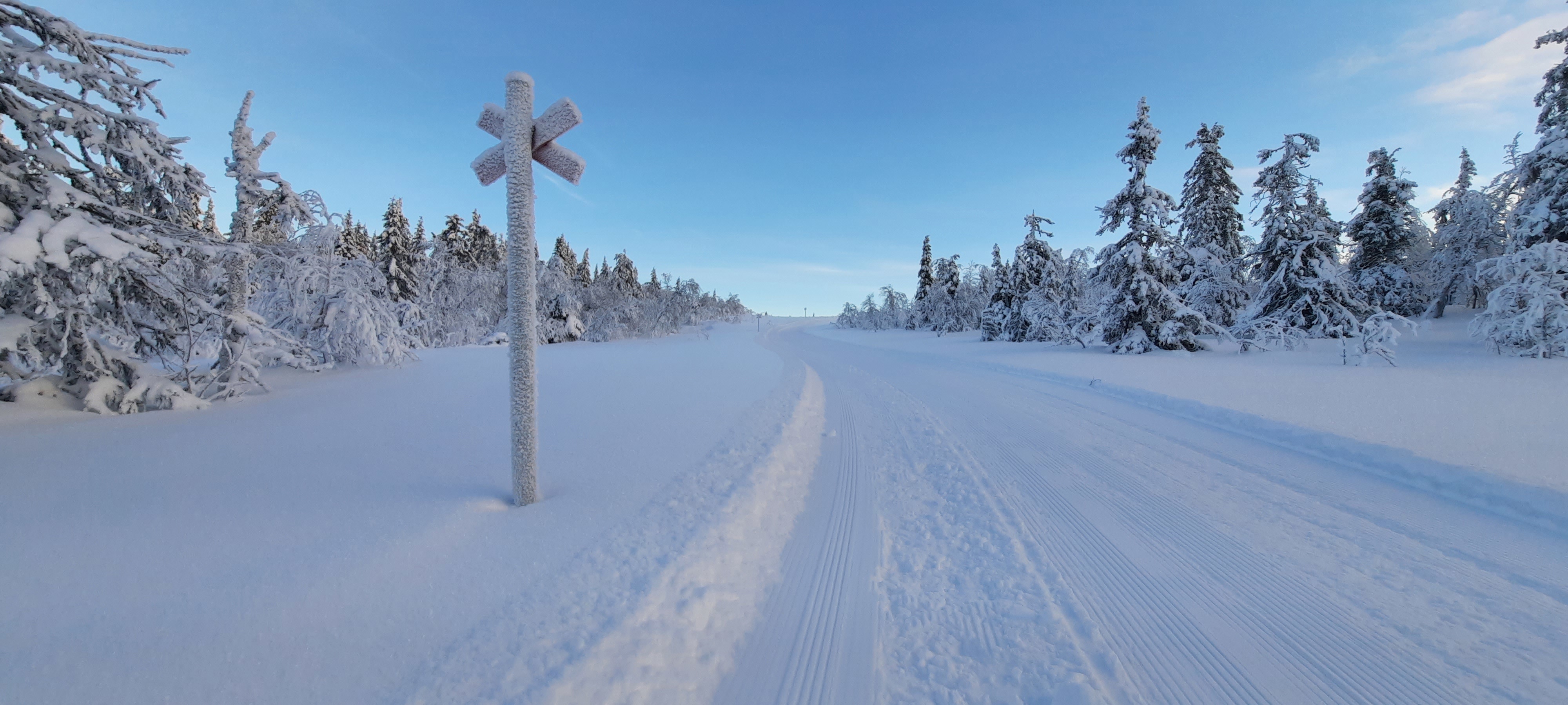 Skoter - Sorsele kommun