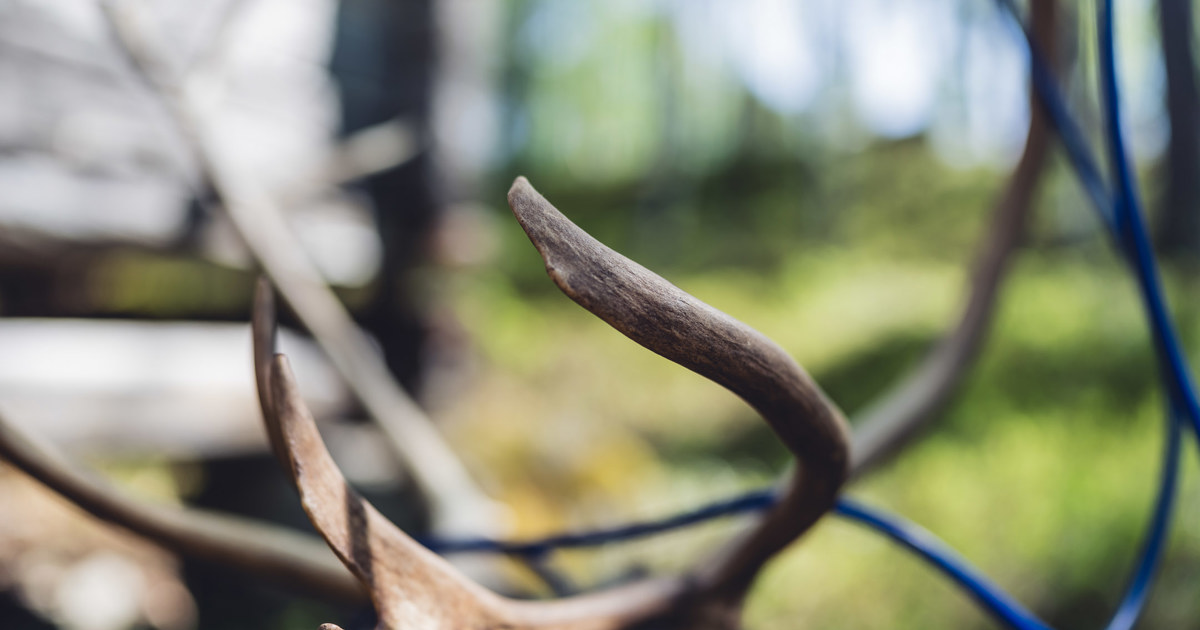 Åarjelsaemien gïele - Sorsele kommun